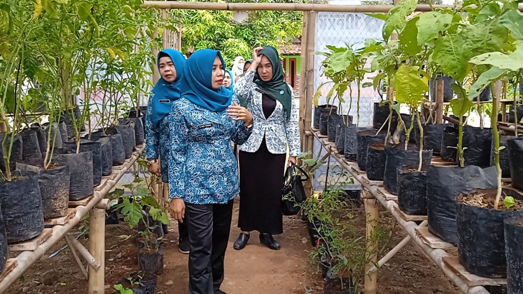 Warga Tengeng Wetan Manfaatkan Lahan Pekarangan Rumah dengan di Tanami Sayur Mayur