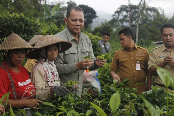 Dirjen Bina Pemerintahan Desa Kemendagri Kunjungi Desa Paninggaran ...